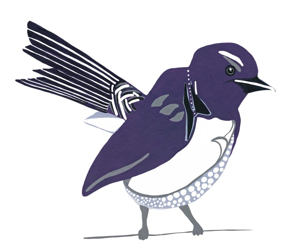 Willy Wagtail | Boomalli Aboriginal Artists Co-operative
