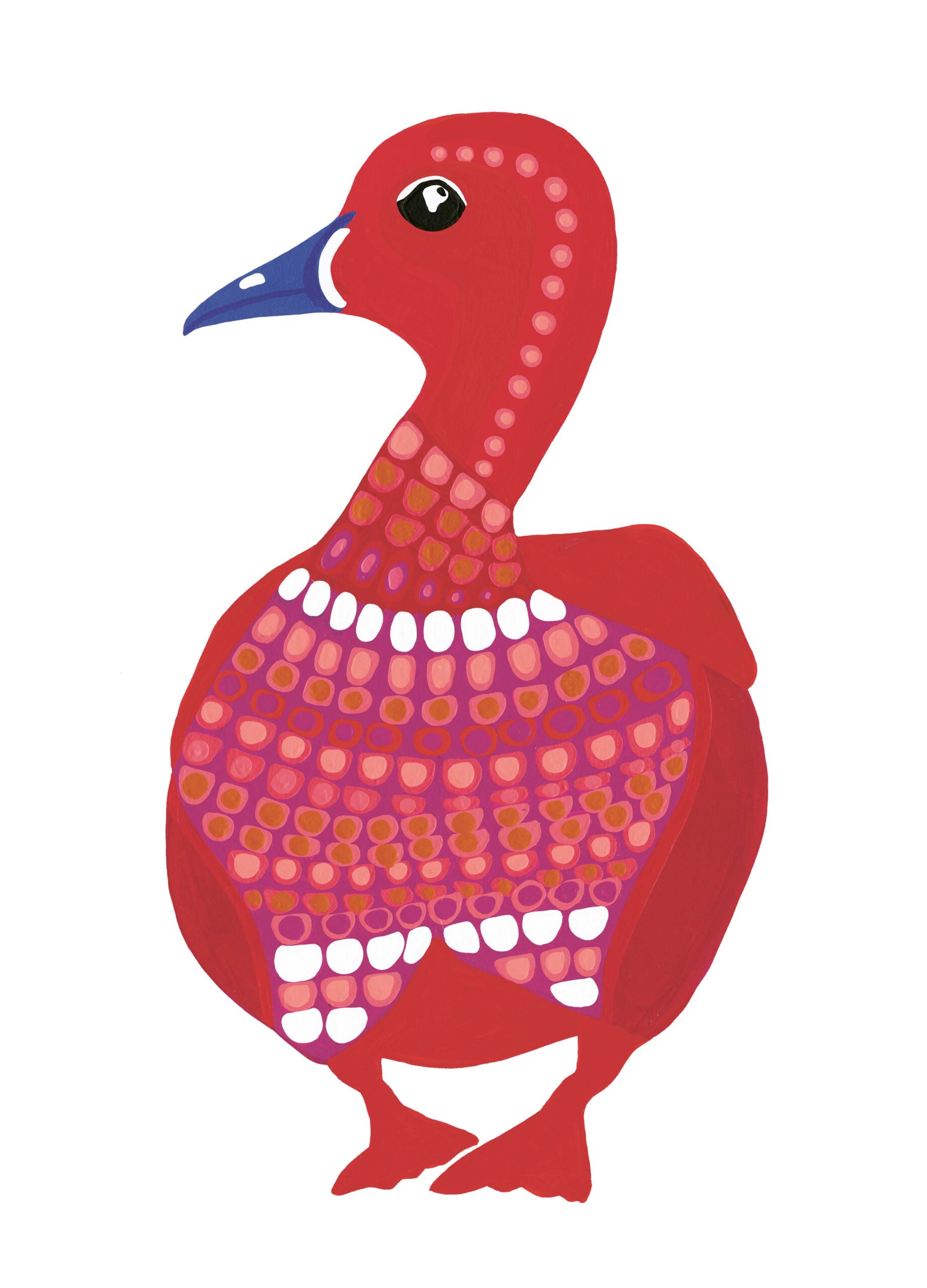 Duck | Boomalli Aboriginal Artists Co-operative